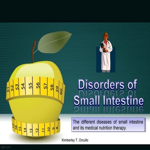 Disorders of the Small Intestine | PPT