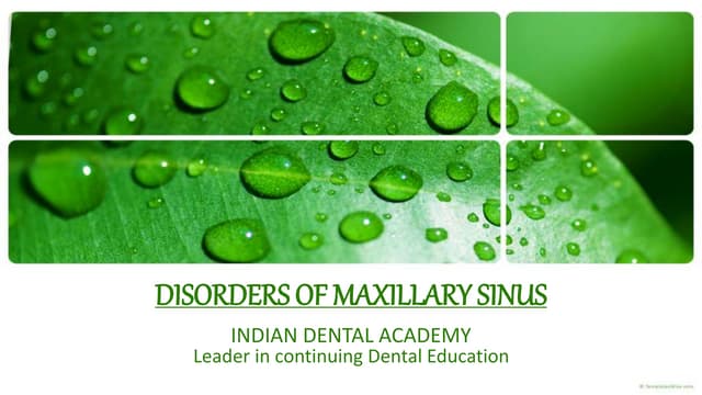Disorders Of Maxillary Sinus Ppt