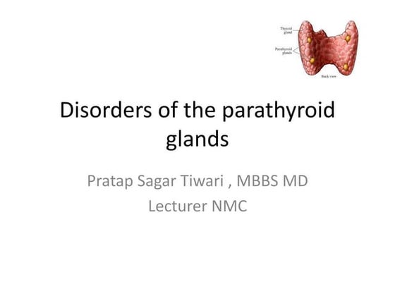 Parathyroid Gland Disorders The Parathyroid Glands Are Four Small,
