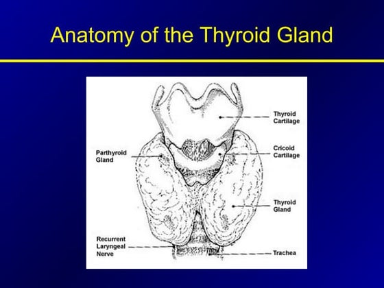 Unit_10_Thyroid_Additional_pictures_and_information.pptx | Thyroid ...