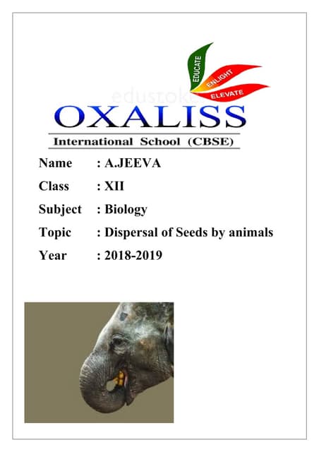 Mechanisms of seed dispersal | PPT