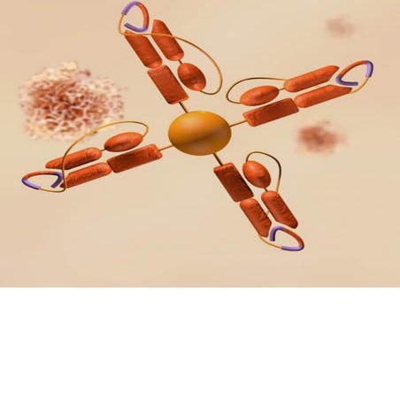 Display Platform for MiHC.pdf