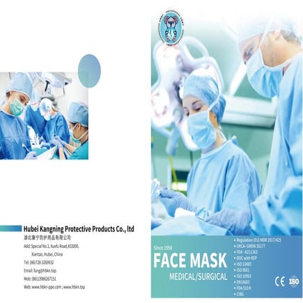 Disposable mask series.pdf