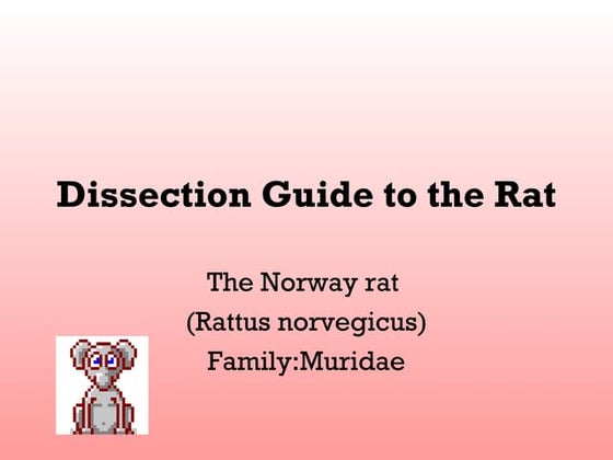 Rat dissection tripp | PPTX