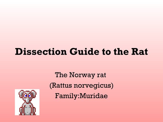 Anatomy unit 1 introduction rat dissections | PPTX