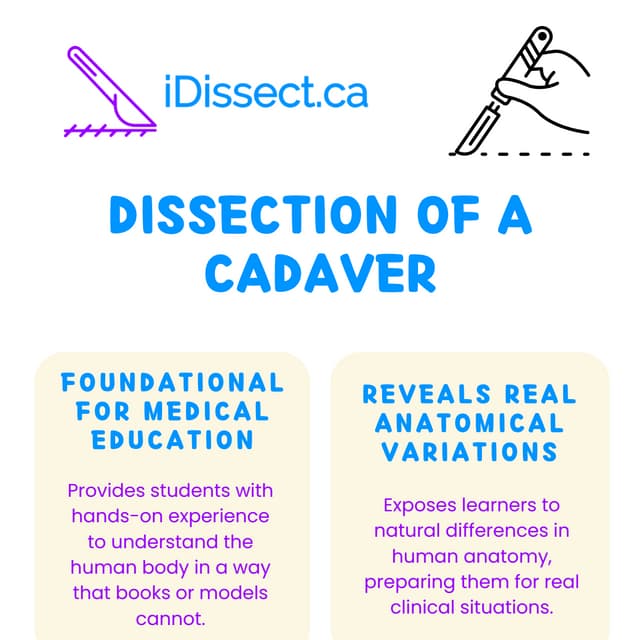 Human Anatomy Dissection Course - idissect.ca