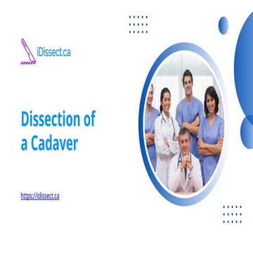 Dissection Of a Cadaver - www.idissect.ca