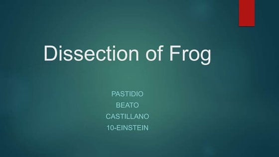 Frog Dissection | PPT | Biological Sciences | Science