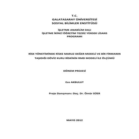 Dissertation (VAR Models- Financial Risk Management) | PDF