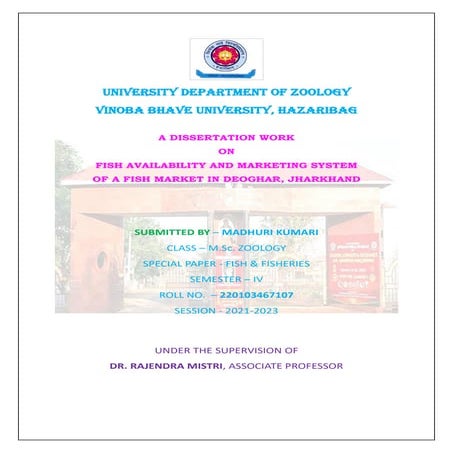 dissertation final.pdf