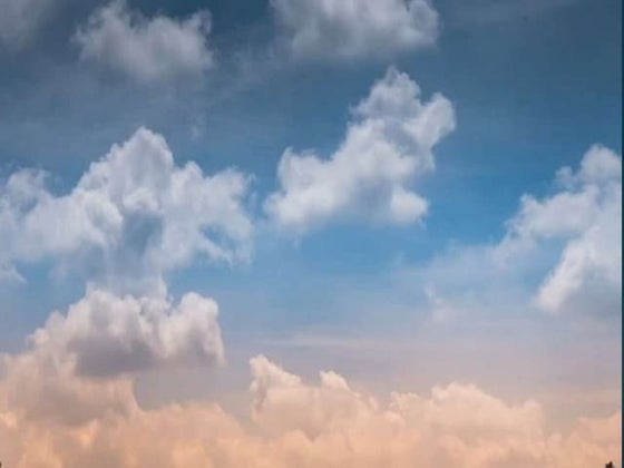 Distance and displacement | PPTX | Physics | Science