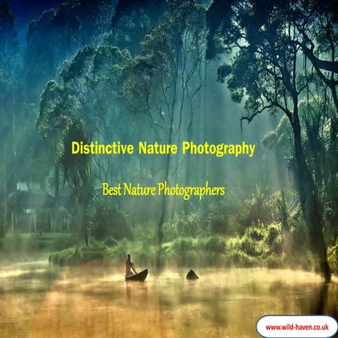 Distinctive Nature Photography new ppt | PPTX