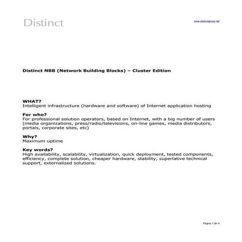 Distinct Nbb Cluster Prezentation En | PDF