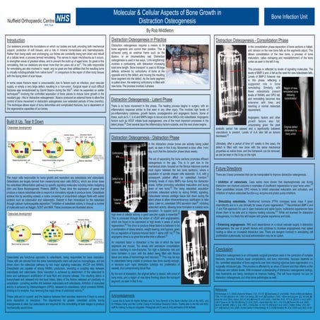 Distraction osteogenesis 1 | PDF