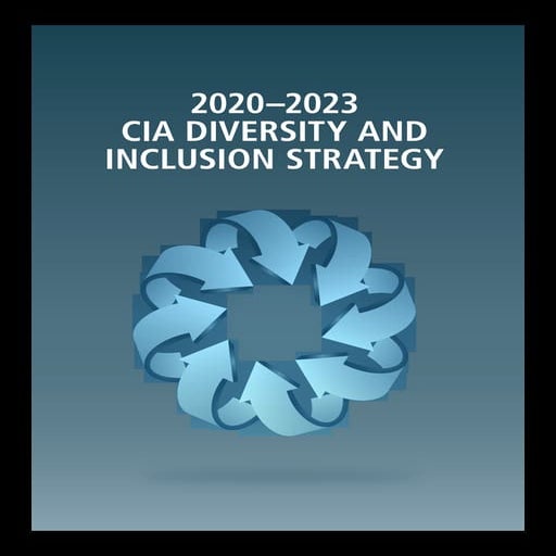 Di strategy 2020 | PDF