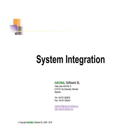 System Integration | PDF | Programming Languages | Computing