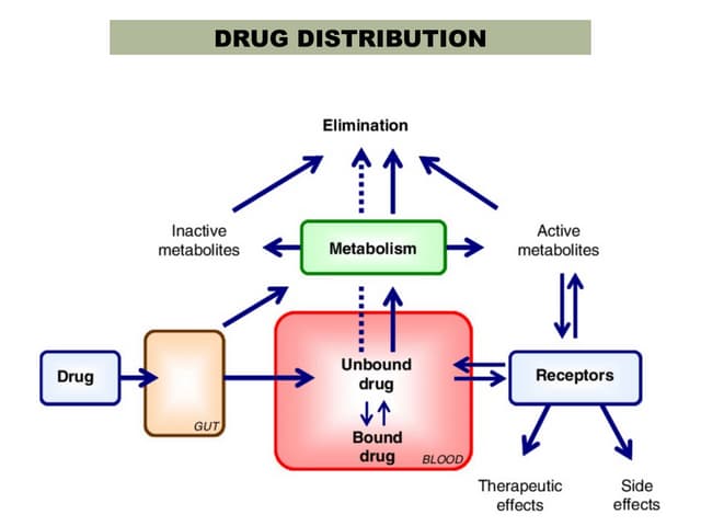 Drug distribution | PPTX