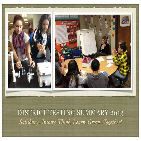 District Testing Summary - 2013-14 | PDF