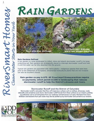 KY: Rain Garden Manual - Bluegrass Rain Garden Alliance | PDF