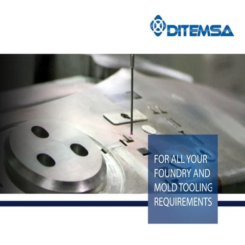 Ditemsa company profile | PPT