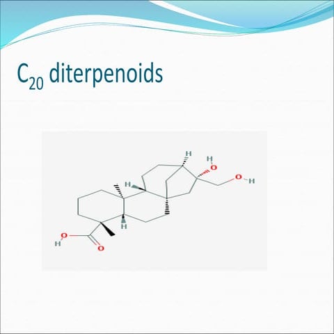 diterpenoid.ppt