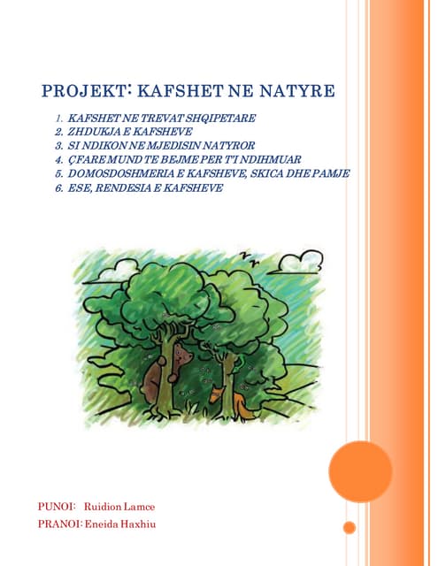 Modeli i një planifikimi ditor | DOCX