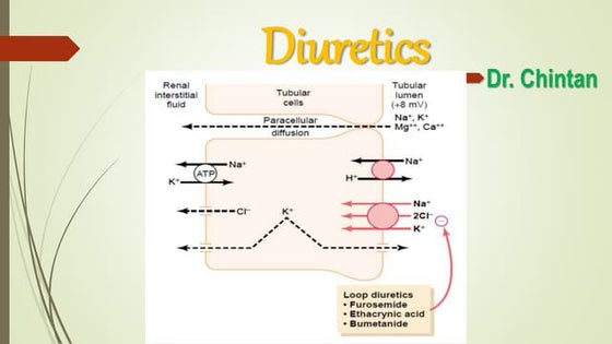 Diuretics-Mechanism of action,Diuretic Types and Adverse effects,Drug ...