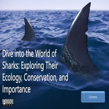 Blue shark presentation | PPTX