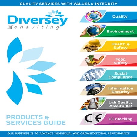 Diversey consulting product guide | PDF