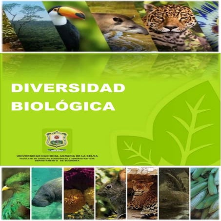 Diversidad Biológica | DOCX