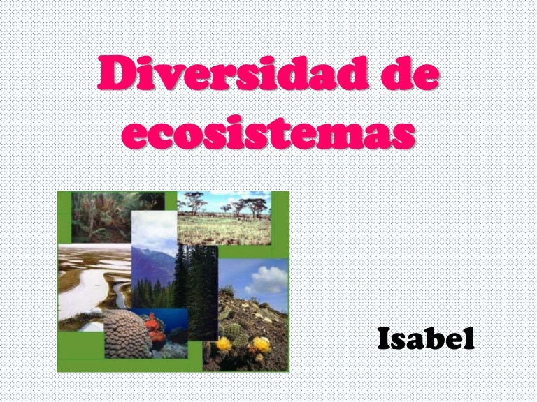 Diversidad De Ecosistemas