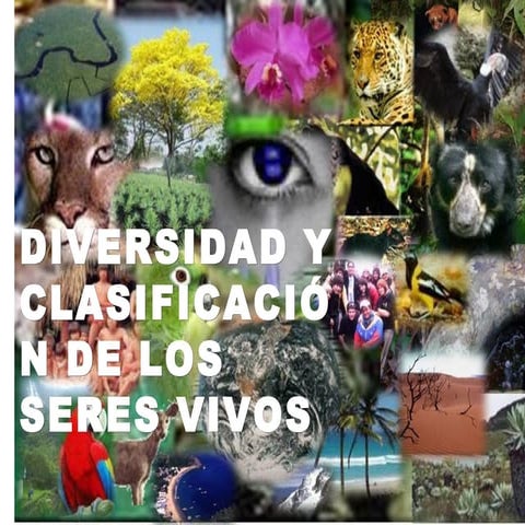 Diversidad y clasificación de los seres vivos | PPT | Biological ...