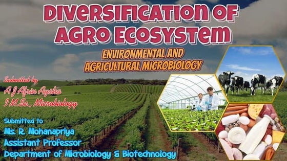 Sustainable agriculture | PPT