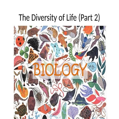 Diversity-of-yo7p 8fpi pf p8kfkfkf8f8ug97g97 | PPTX