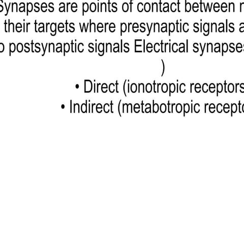 Diversity Of Synaptic Signaling Among Individual Cortical Neurons Ppt Computer Networking