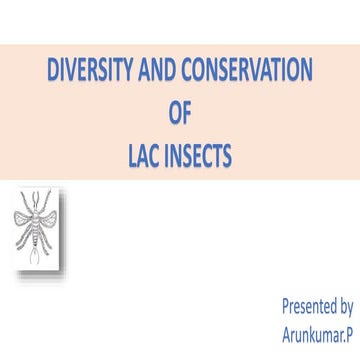 Diversity and conservation of lac insects | PPT