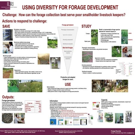 Using diversity for forage development | PDF