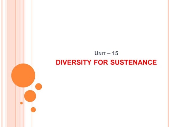 The Food Web PowerPoint | PPT