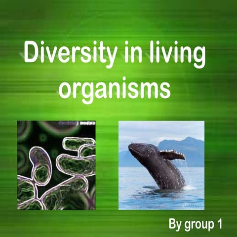 Diversity in living organisms | PPT