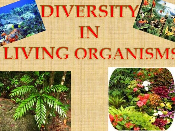 Class 11th - Biological classification | PPTX | Biological Sciences ...