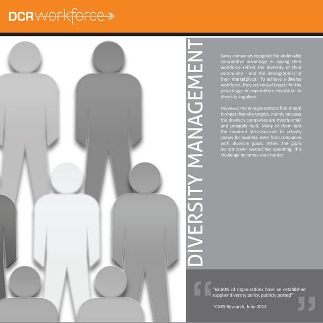 Diversity Management | PDF