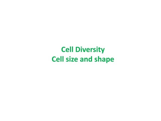 Cell and its organelles | PPT