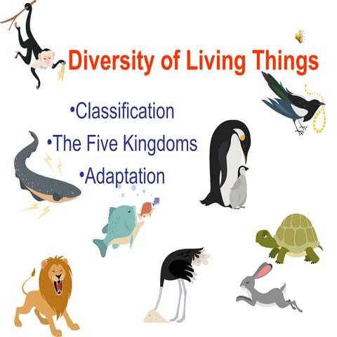 Diversity of Living Things | PPT