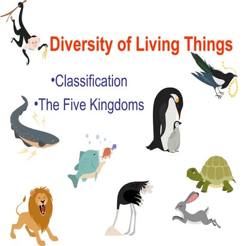 Diversity of Living Things | PPT | Biological Sciences | Science