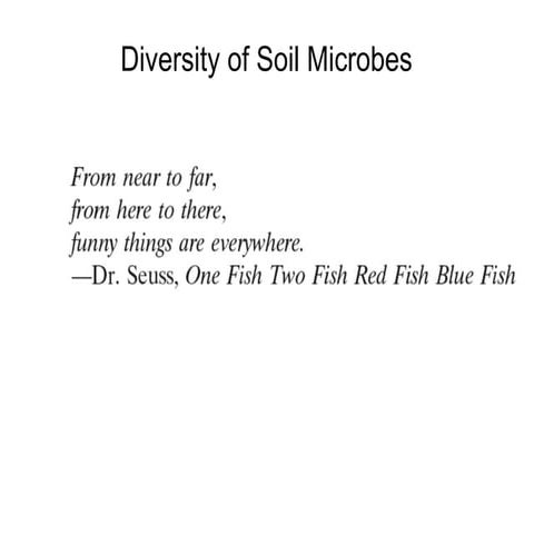 Diversity of Soil Microbes powerpoint.ppt