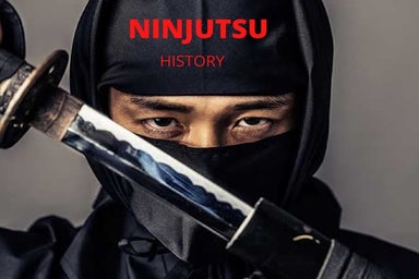 Ninjutsu History