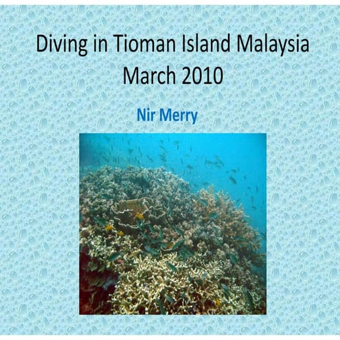 Diving in Tioman Island Malaysia March 2010 | PDF