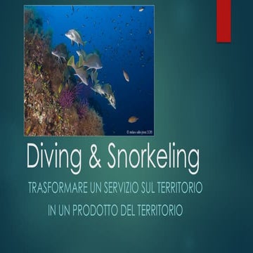 STC2A: Diving e snorkeling | PDF