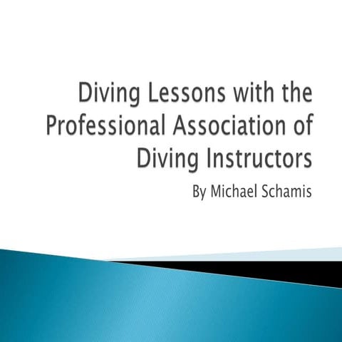 Diving Lessons with the Professional Association of Diving Instructors ...