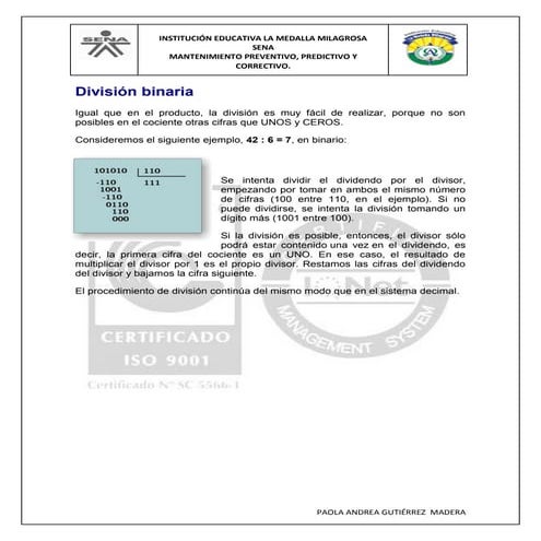División binaria | PDF